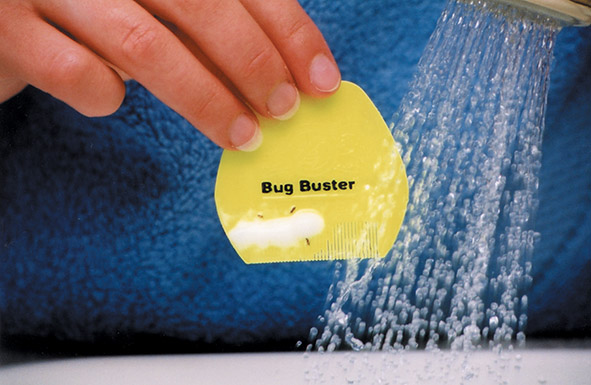 Bug Busting for Schools and the Wider Community - Community Hygiene Concern